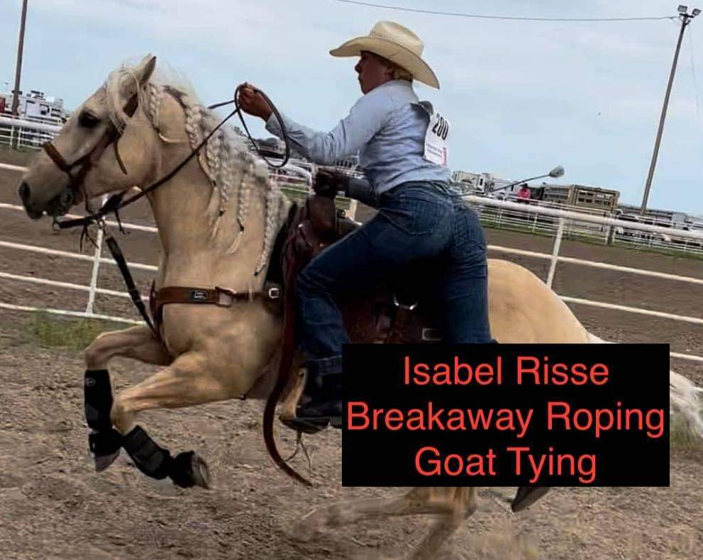 Live Feed | Bennett County School District